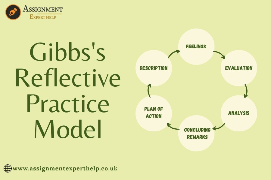 Gibbs Cycle Gibbs Reflective Cycle Notes | NURS 1019 Professional