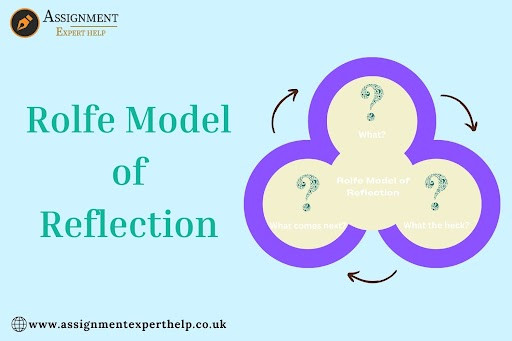 Rolfe Model of Reflection