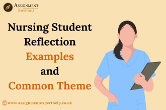 Nursing Student Reflection: Examples and Common Themes