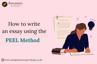 How to write an essay using the PEEL Method