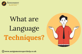 What Are Language Techniques?